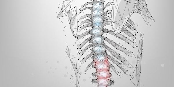 Posture — effects on the airway